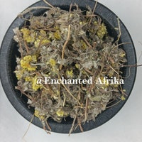 14g (1/2 Oz) Imphepho (helychrysum Odoratissimum) Cut and Sifted - Etsy