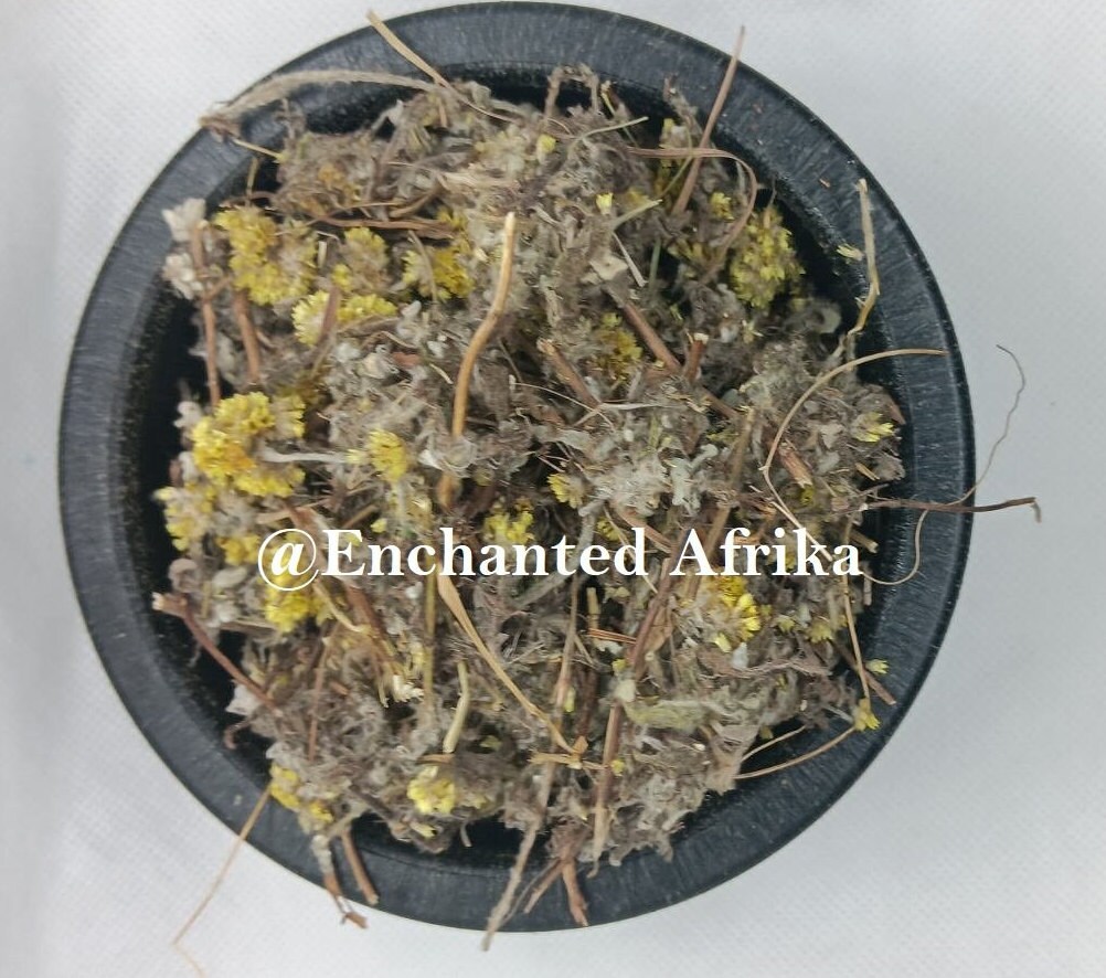 IMPHEPHO: South African Smudge, Air for the Spirits, Helychrisum ...