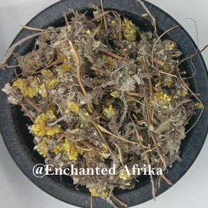 IMPHEPHO: South African Smudge, Air for the Spirits, Helychrisum ...