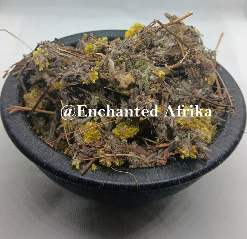 IMPHEPHO: South African Smudge, Air for the Spirits, Helychrisum ...