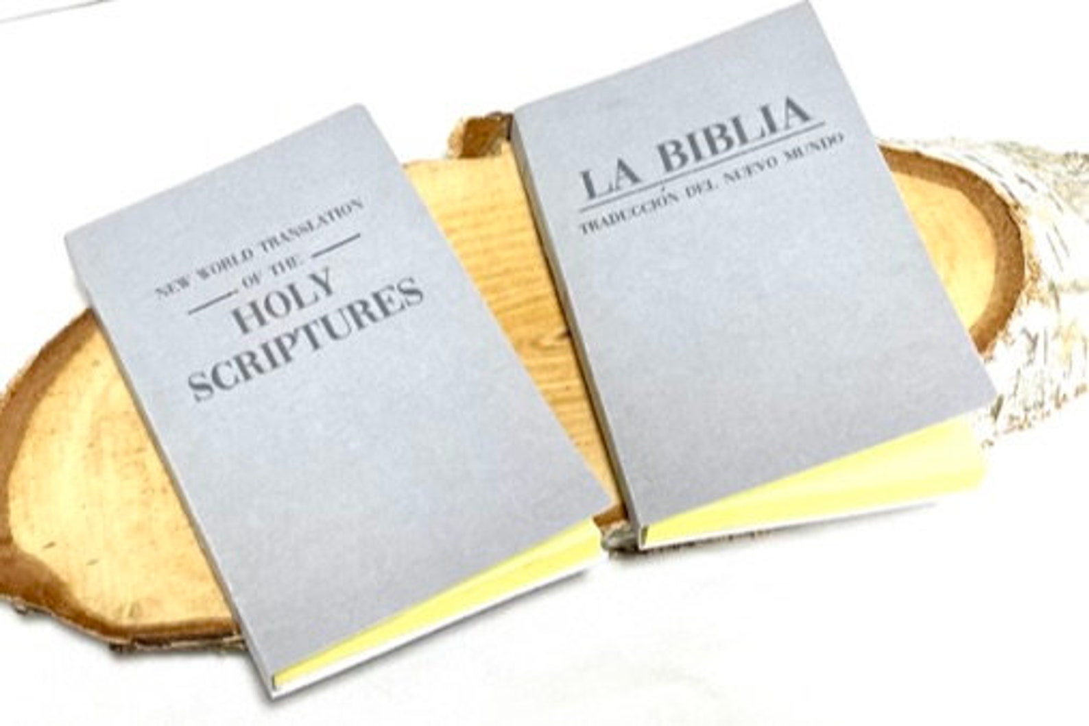 JW Gift NWT Bible Sticky Notepads Bloc De Notas Adhesivas - Etsy