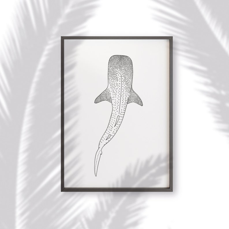 Whale Shark Line Art Print | Beach Decor | Line Drawing | Marine Life ...
