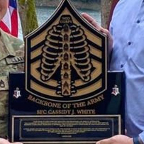 SFC Back Bone of the Army Rank Plaque - Etsy