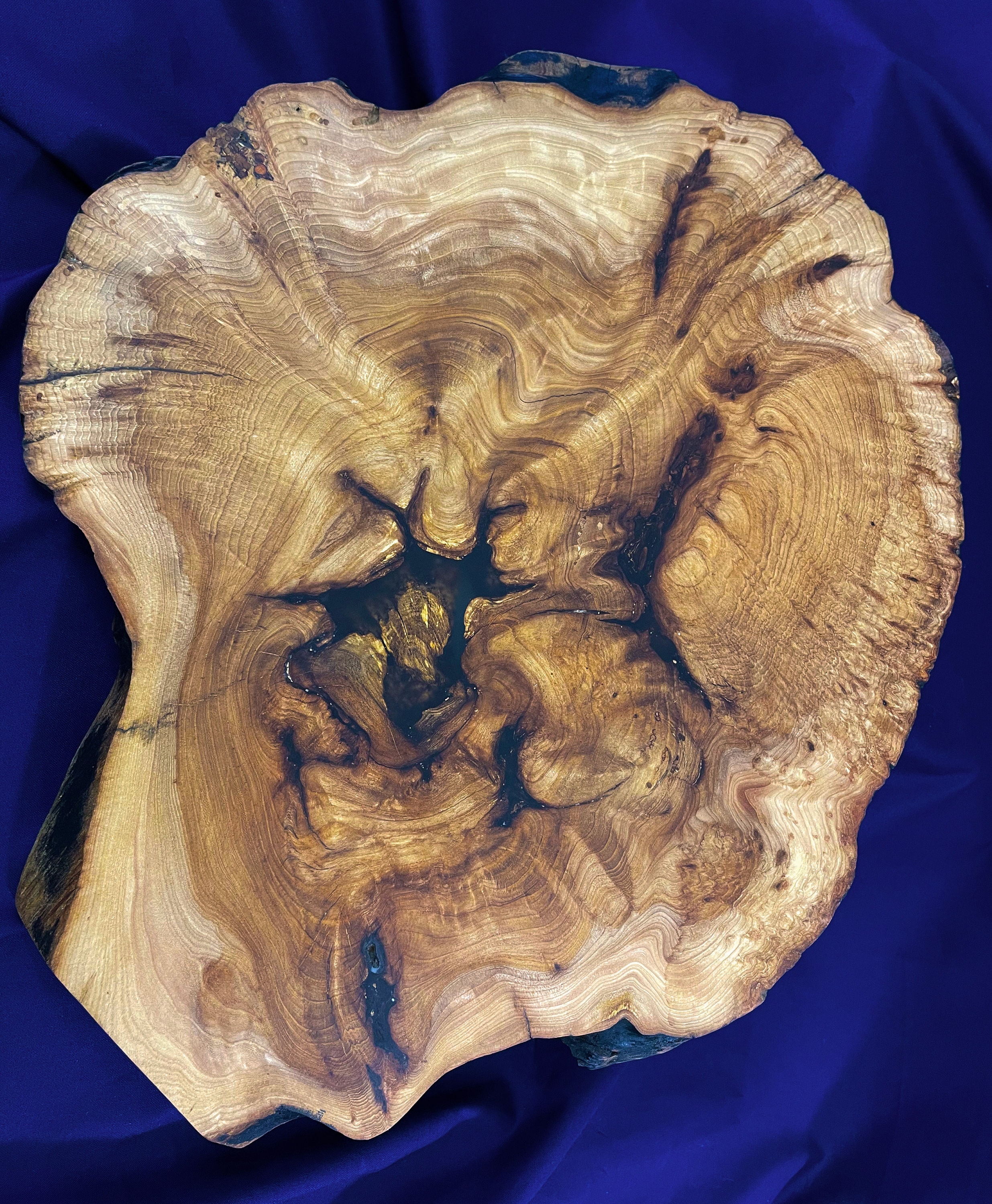 Oak Burl Sections - Etsy