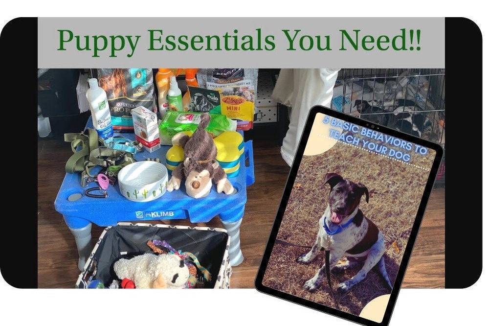 Total Puppy Welcome Home Kit - Etsy