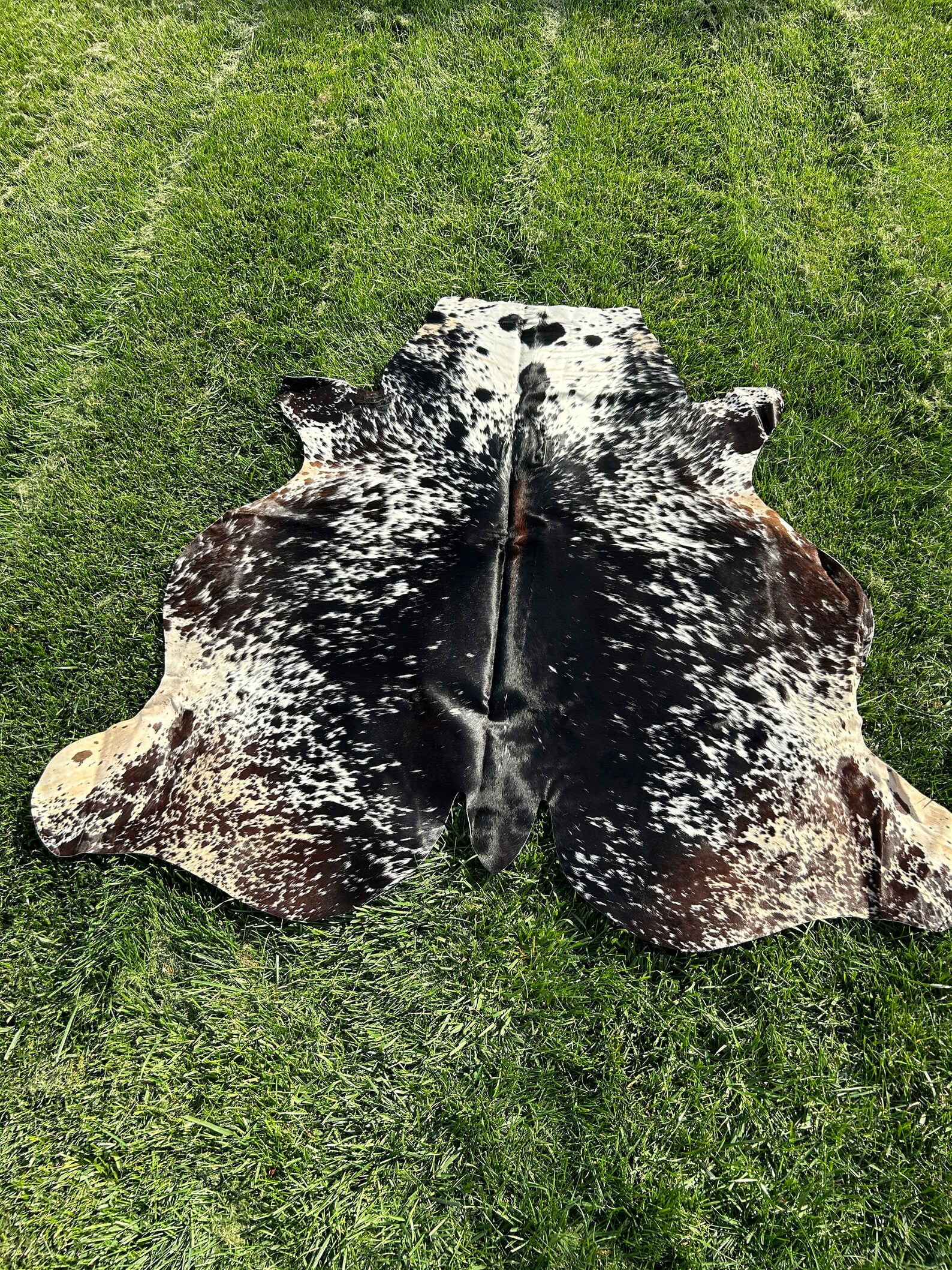 Black & White Cowhide Rug, Salt and Pepper Brazilian Cow Hide Rug - Etsy
