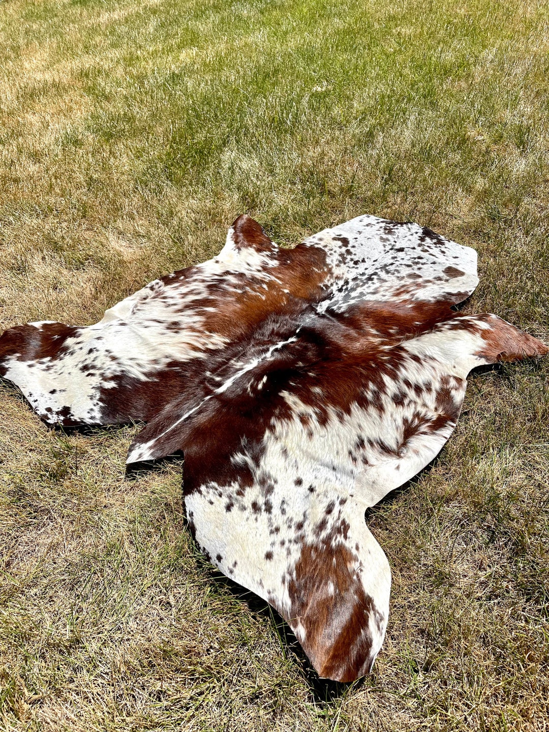 Genuine Tricolor Hair on Cowhide Rug, Cow Hide Rug - Etsy