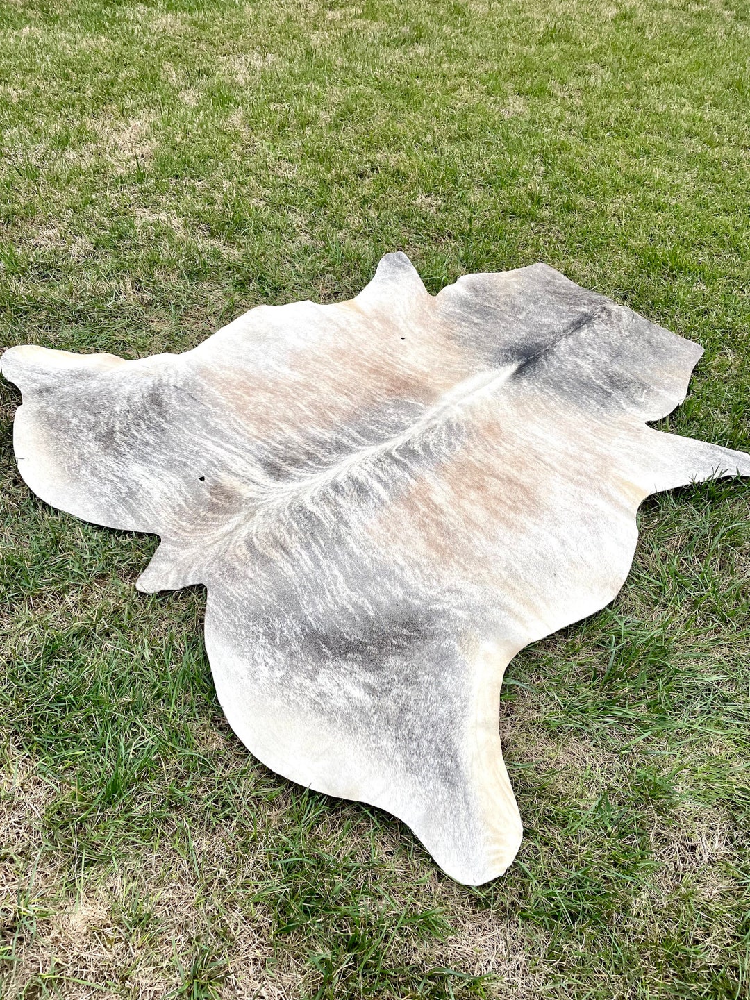 Tricolor Brindle Cowhide Rug, Speckled Hair on Brazilian Cow Hide Rug ...