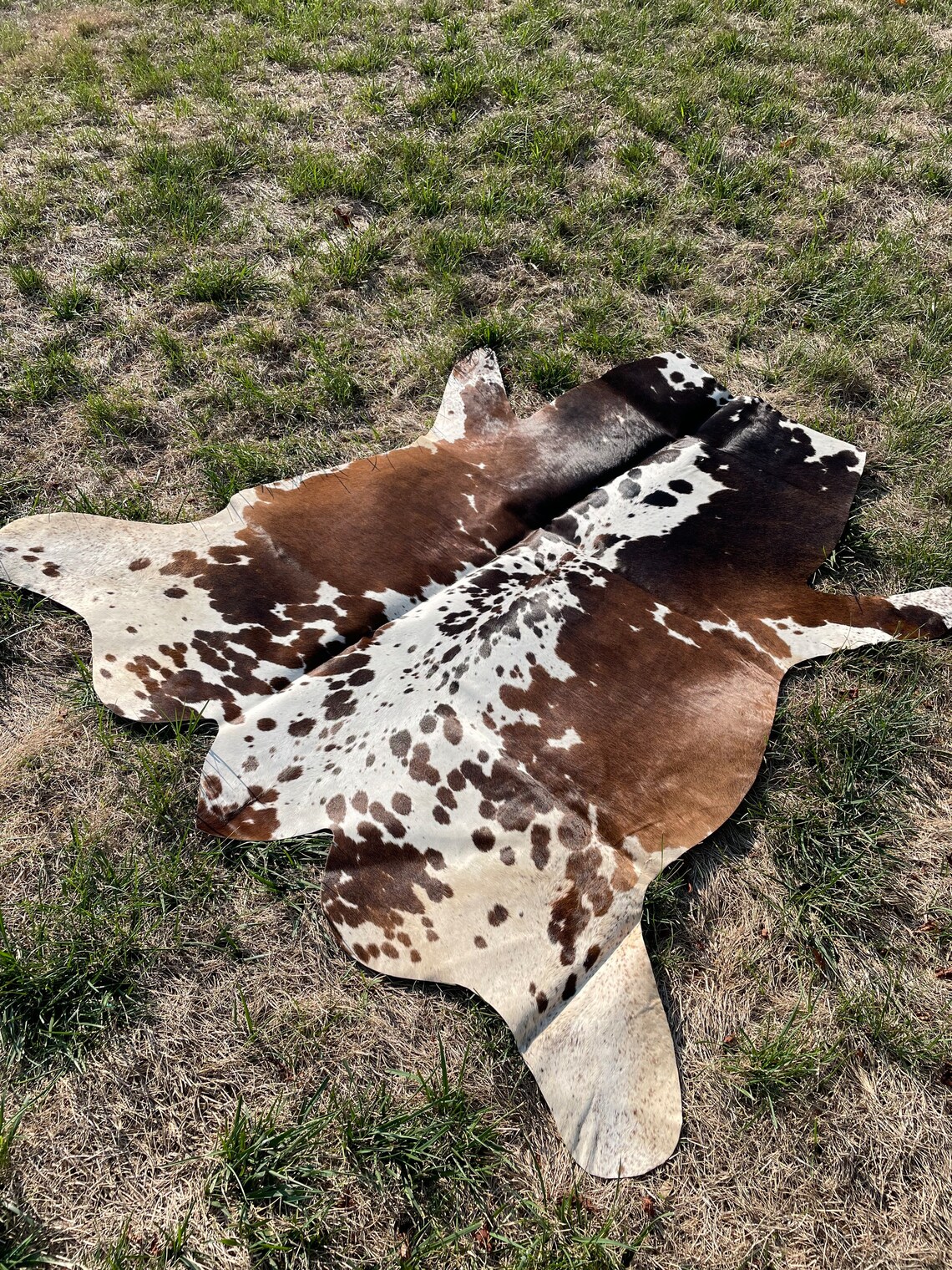 Genuine Tricolor Hair on Cowhide Rug Speckled Brazilian Cow - Etsy