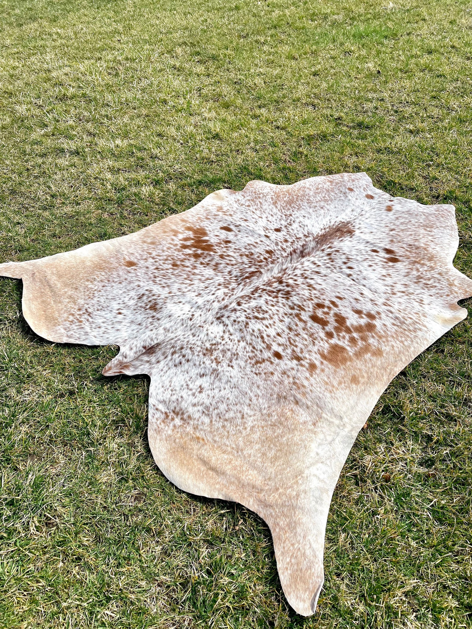 Genuine Tricolor Hair on Cowhide Rug, Speckled Brazilian Cow Hide Rug ...