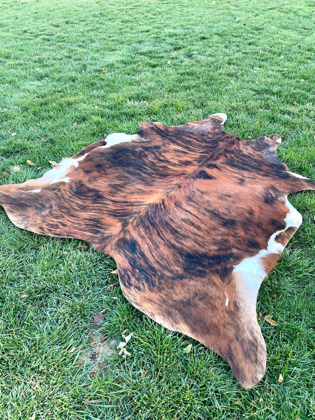 Genuine Tricolor Cowhide Rug, Speckled Brazilian Cow Hide Rug - Etsy