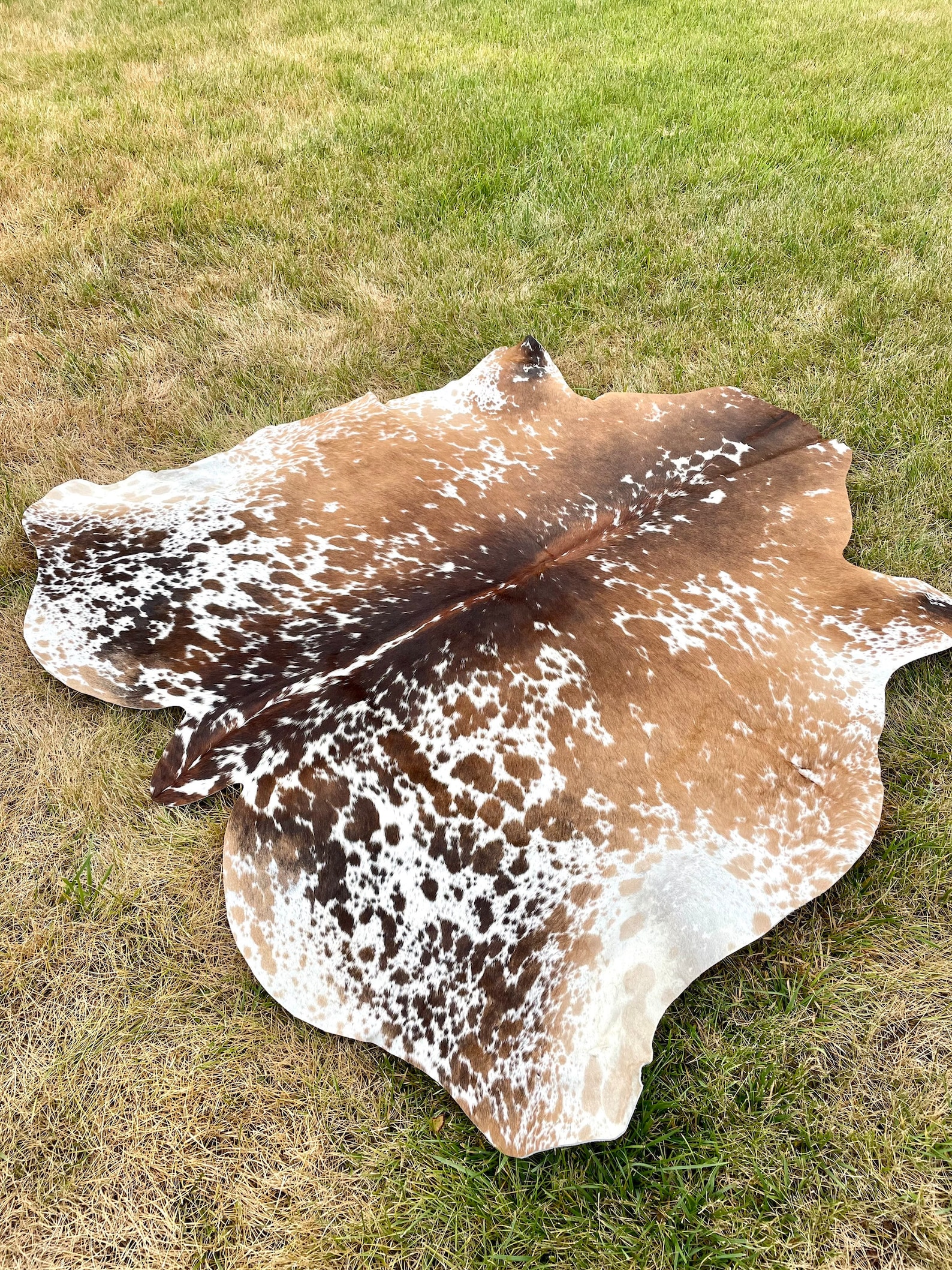 Genuine Tricolor Cowhide Rug Speckled Brazilian Cow Hide Rug - Etsy