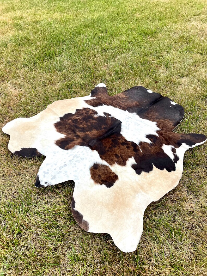 Genuine Tricolor Hair on Cowhide Rug, Cow Hide Rug - Etsy