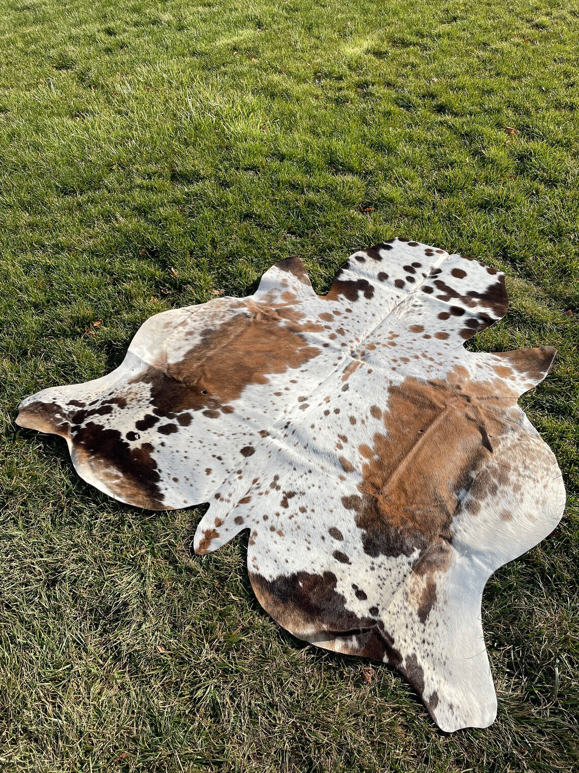 Genuine Salt & Pepper Tricolor Cowhide Rug, Brazilian Cow Hide Rug - Etsy