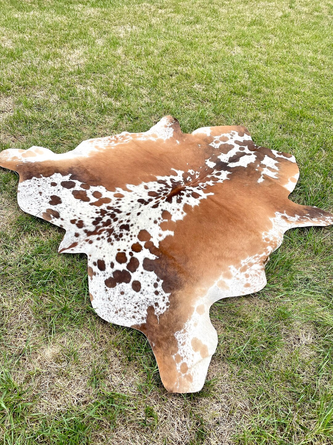 Genuine Tricolor Cowhide Rug, Speckled Brazilian Cow Hide Rug - Etsy