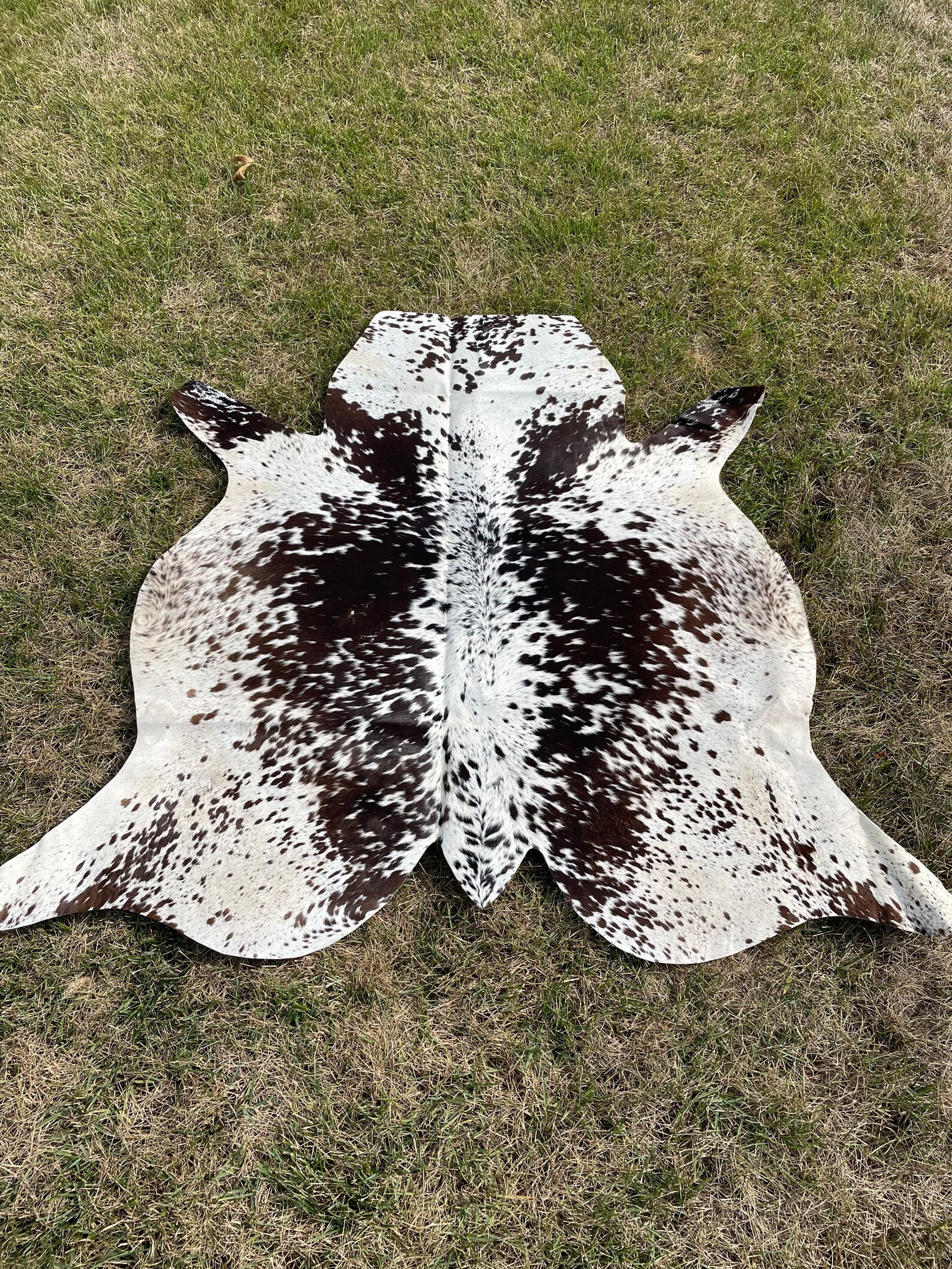 Black & White Cowhide Rug, Salt and Pepper Brazilian Cow Hide Rug - Etsy