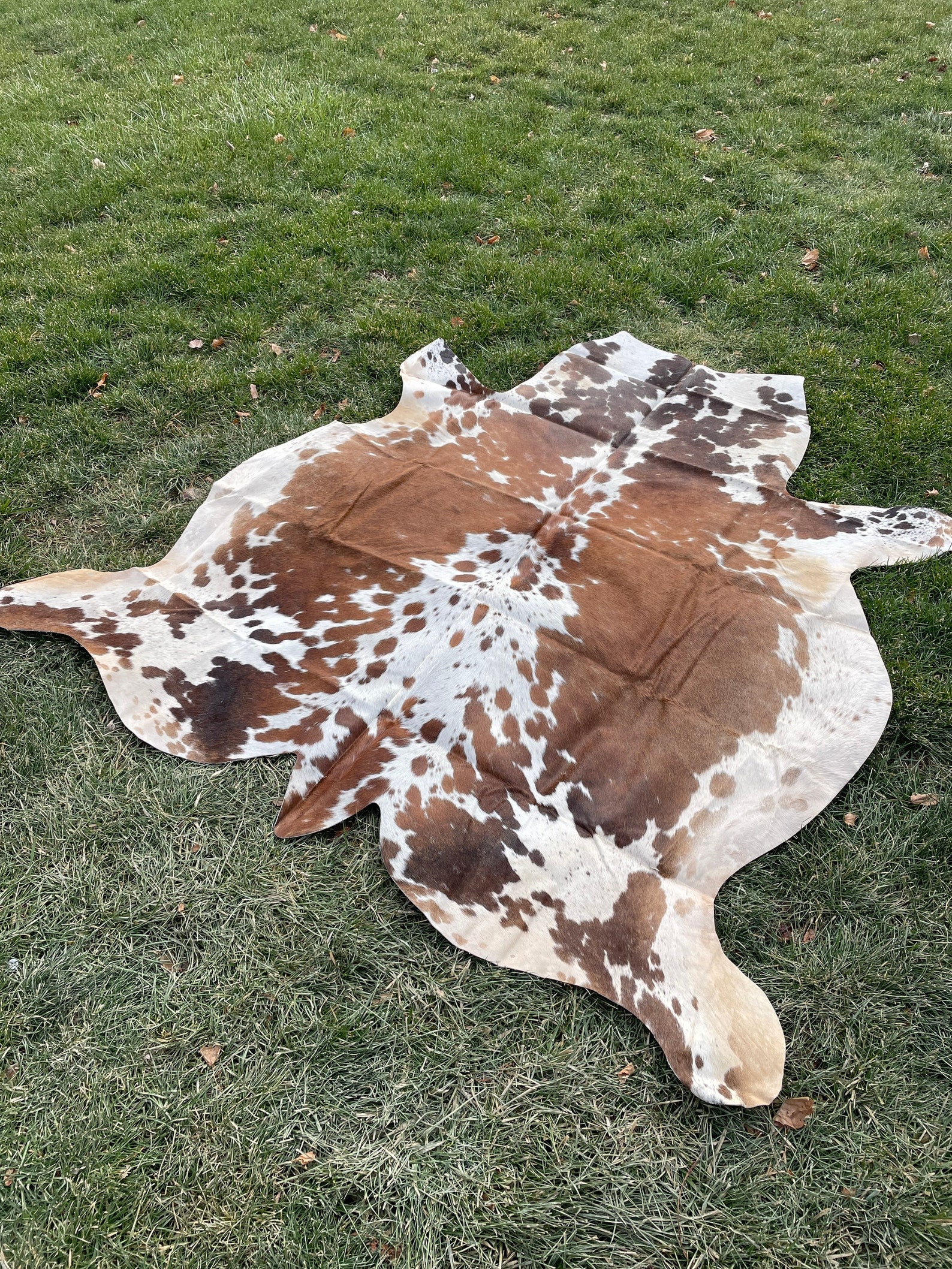 Genuine Tricolor Cowhide Rug, Speckled Brazilian Cow Hide Rug - Etsy