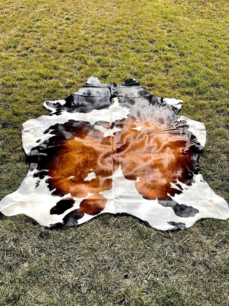 Genuine Tricolor Cowhide Rug, Brazilian Cow Hide Rug Large - Etsy