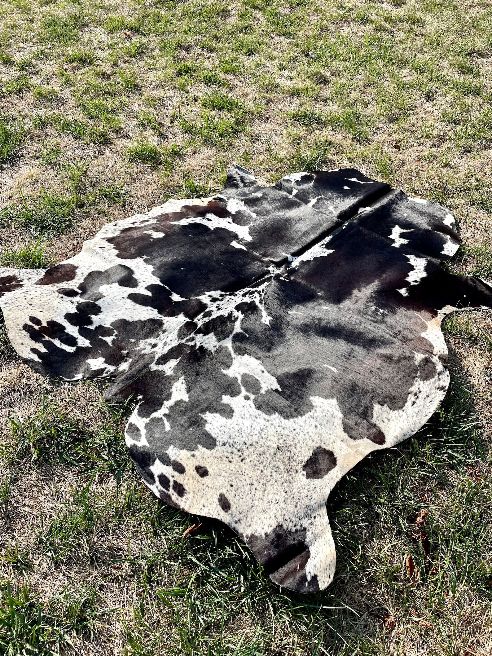 Black & White Cowhide Rug, Salt and Pepper Brazilian Cow Hide Rug - Etsy