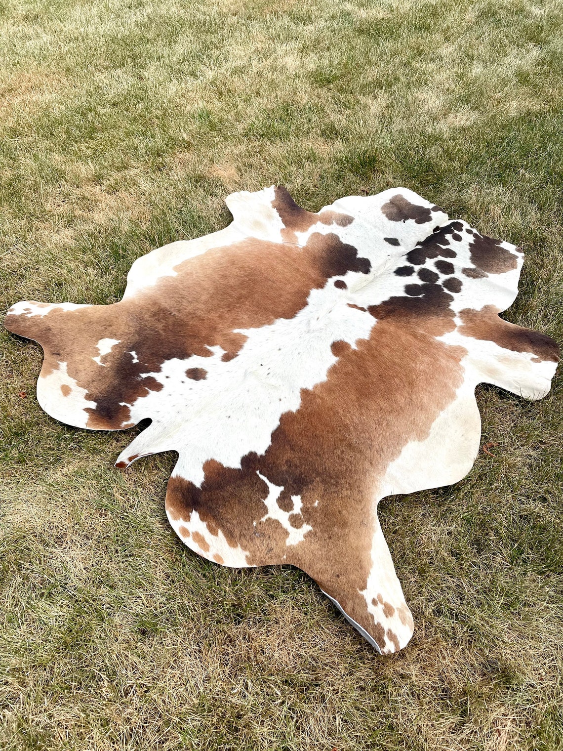 Genuine Tricolor Hair on Cowhide Rug Speckled Brazilian Cow - Etsy