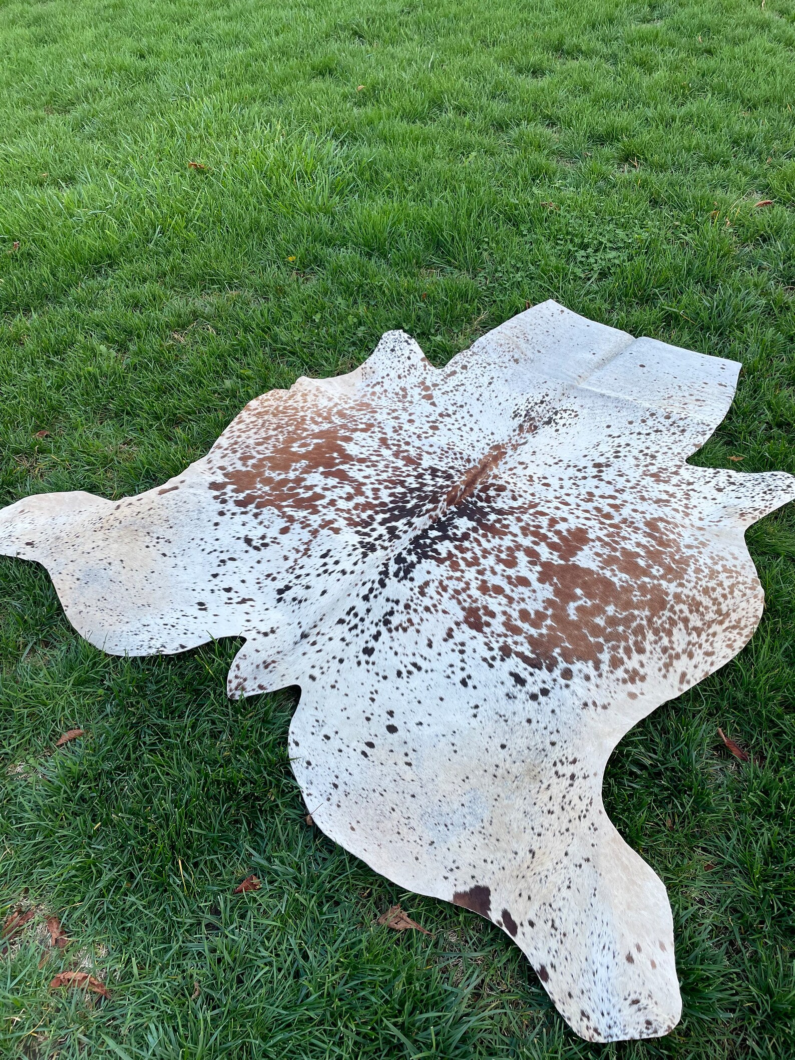 Genuine Tricolor Cowhide Rug Speckled Brazilian Cow Hide Rug - Etsy