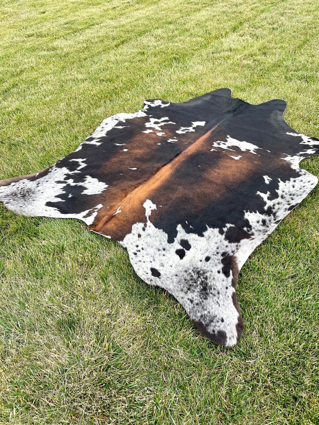 Genuine Tricolor Cowhide Rug, Brazilian Speckled Cow Hide Rug Large - Etsy