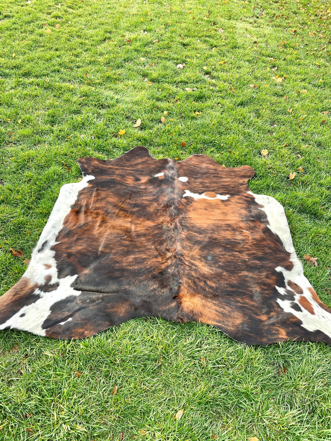 Genuine Tricolor Brindle Cowhide Rug, Speckled Brazilian Cow Hide Rug ...