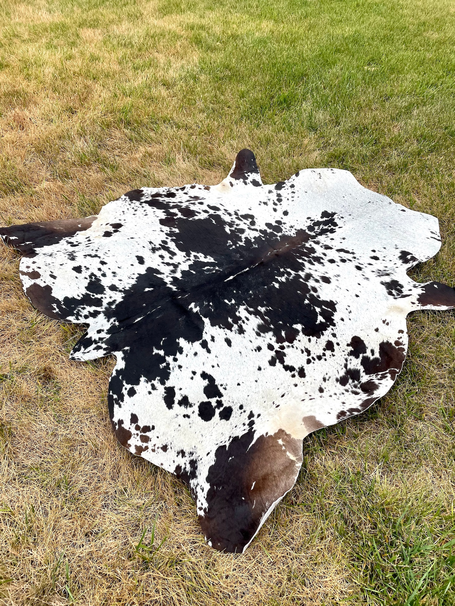 Genuine Tricolor Hair on Cowhide Rug Speckled Brazilian Cow - Etsy