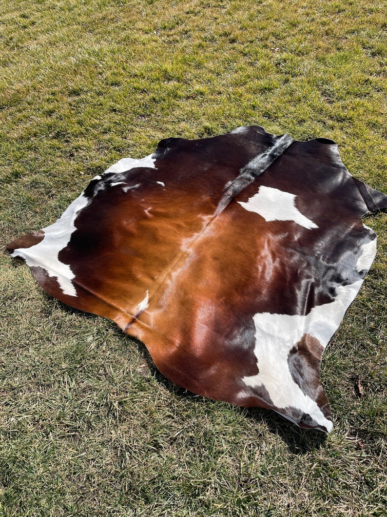 Genuine Tricolor Cowhide Rug, Brazilian Cow Hide Rug Large - Etsy