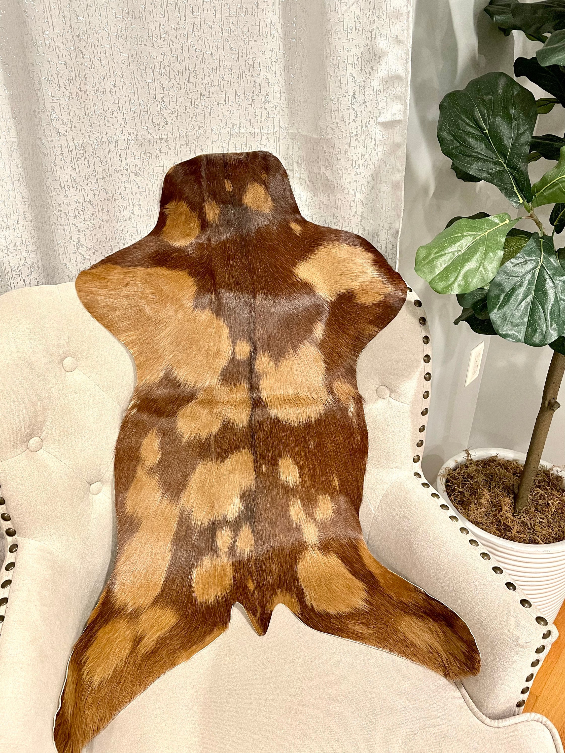 Genuine Hair on Goathide Rug, Goat Hide - Etsy