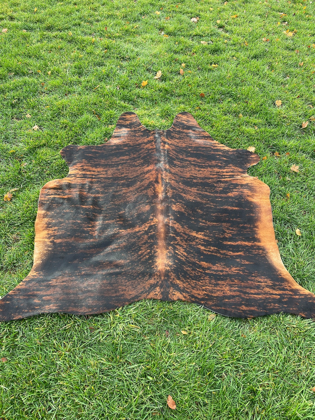 Genuine Brindle Tricolor Cowhide Rug, Speckled Brazilian Cow Hide Rug ...