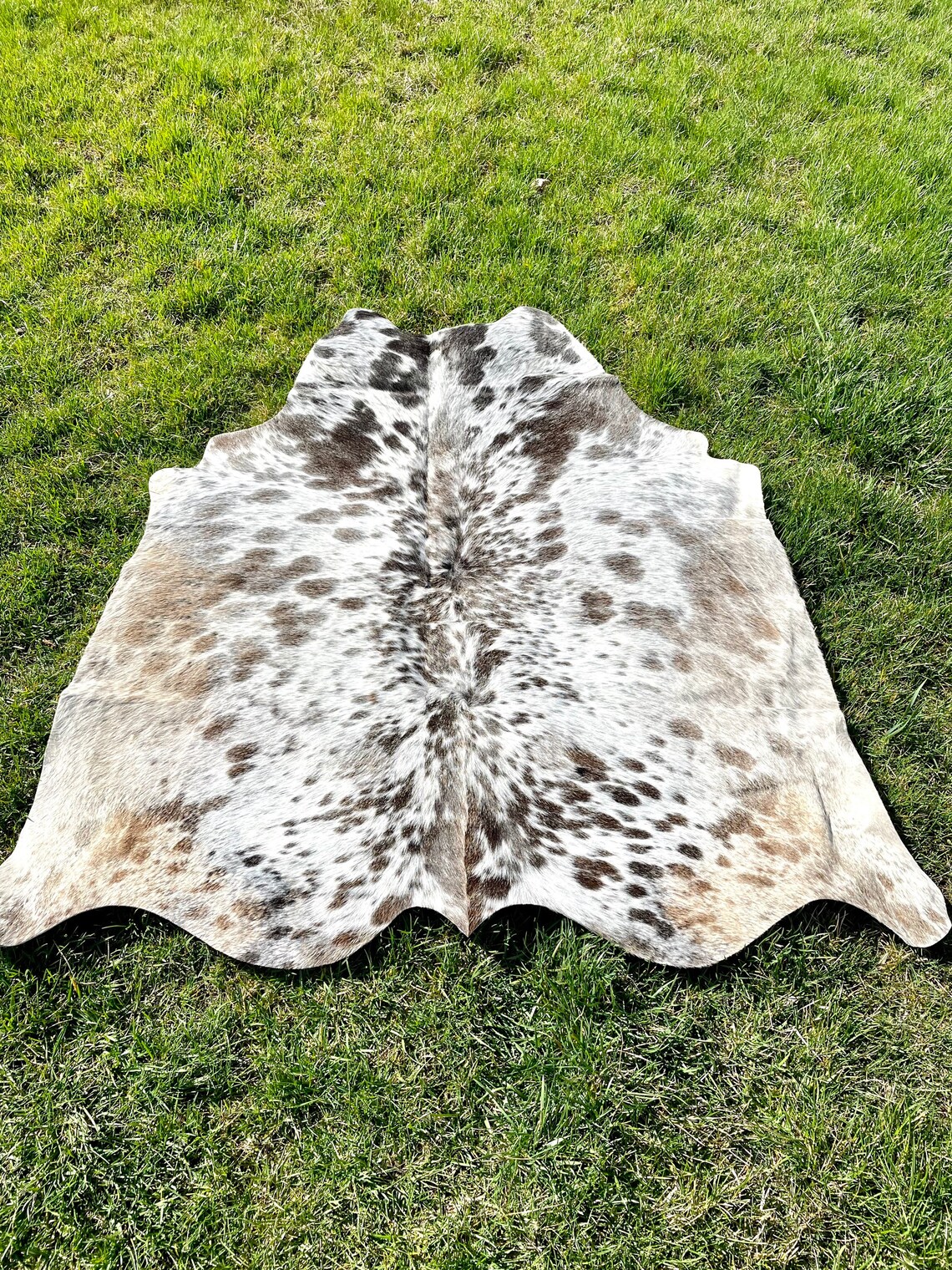 Genuine Tricolor Cowhide Rug Speckled Brazilian Cow Hide Rug - Etsy