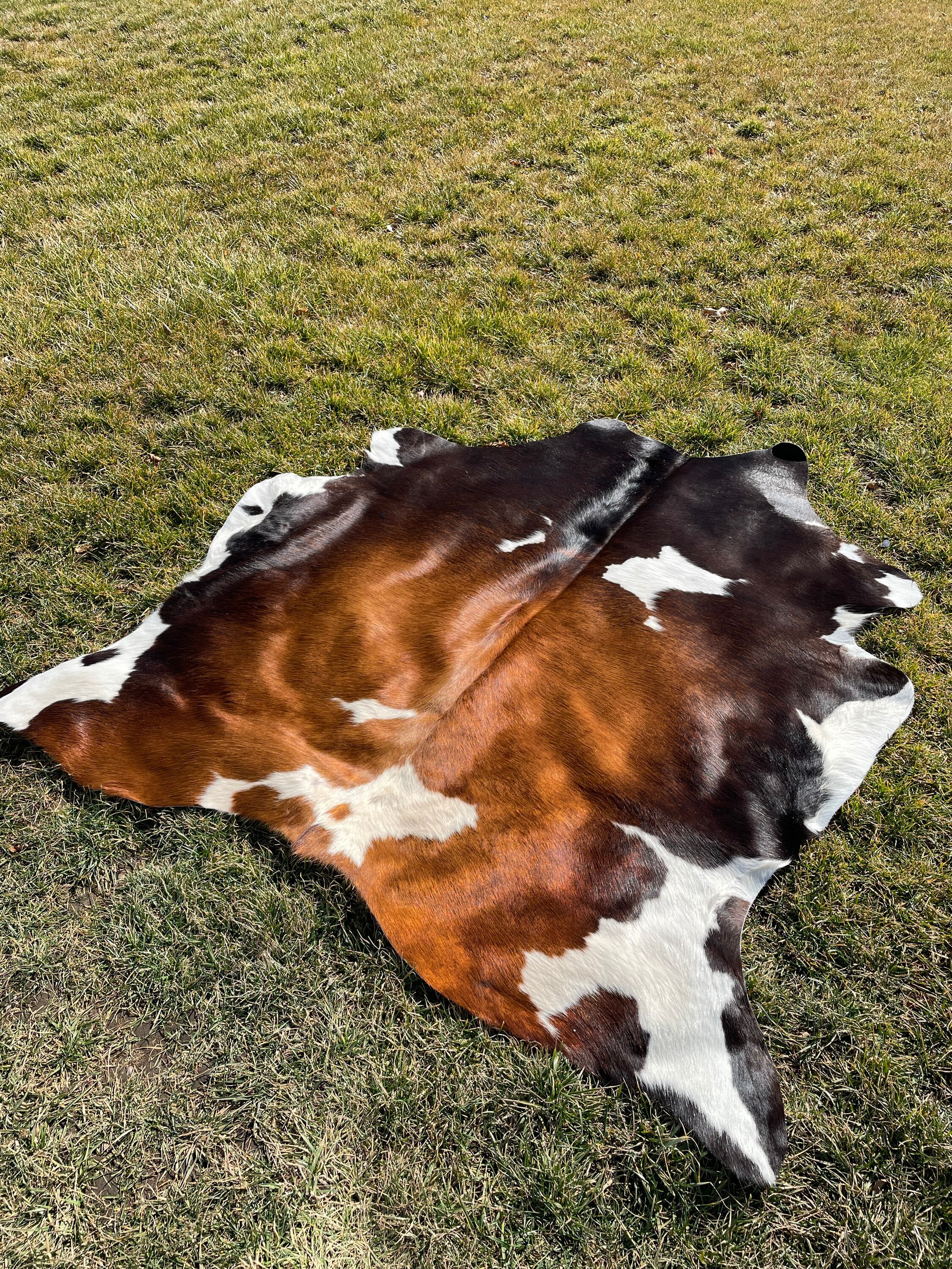 Genuine Tricolor Cowhide Rug, Brazilian Cow Hide Rug Large - Etsy