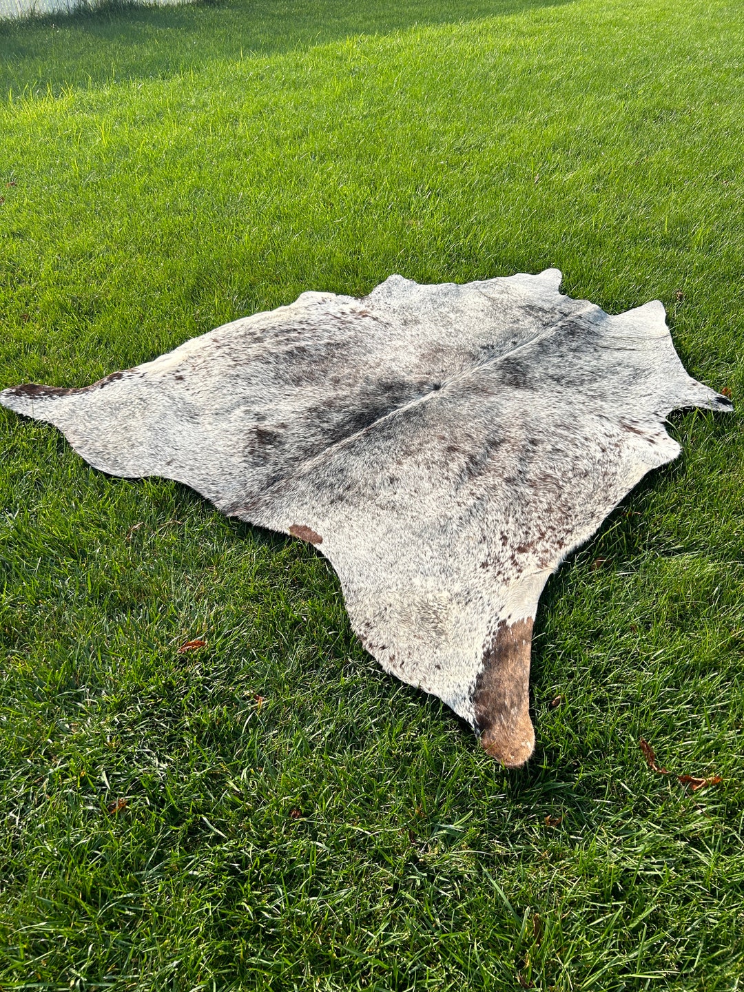 Genuine Salt & Pepper Cowhide Rug, Speckled Cow Hide Rug - Etsy