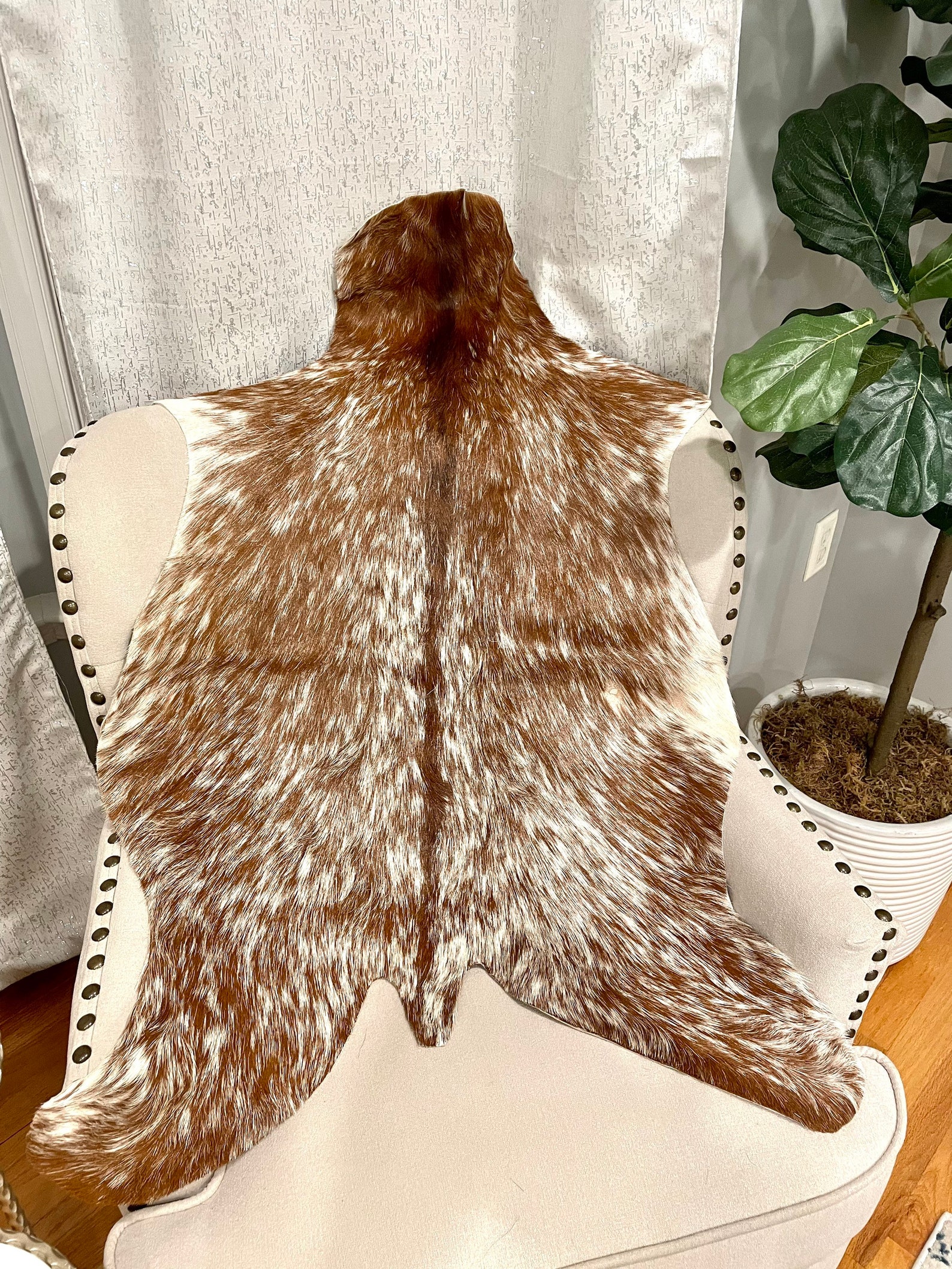 Genuine Hair on Goathide Rug Goat Hide - Etsy