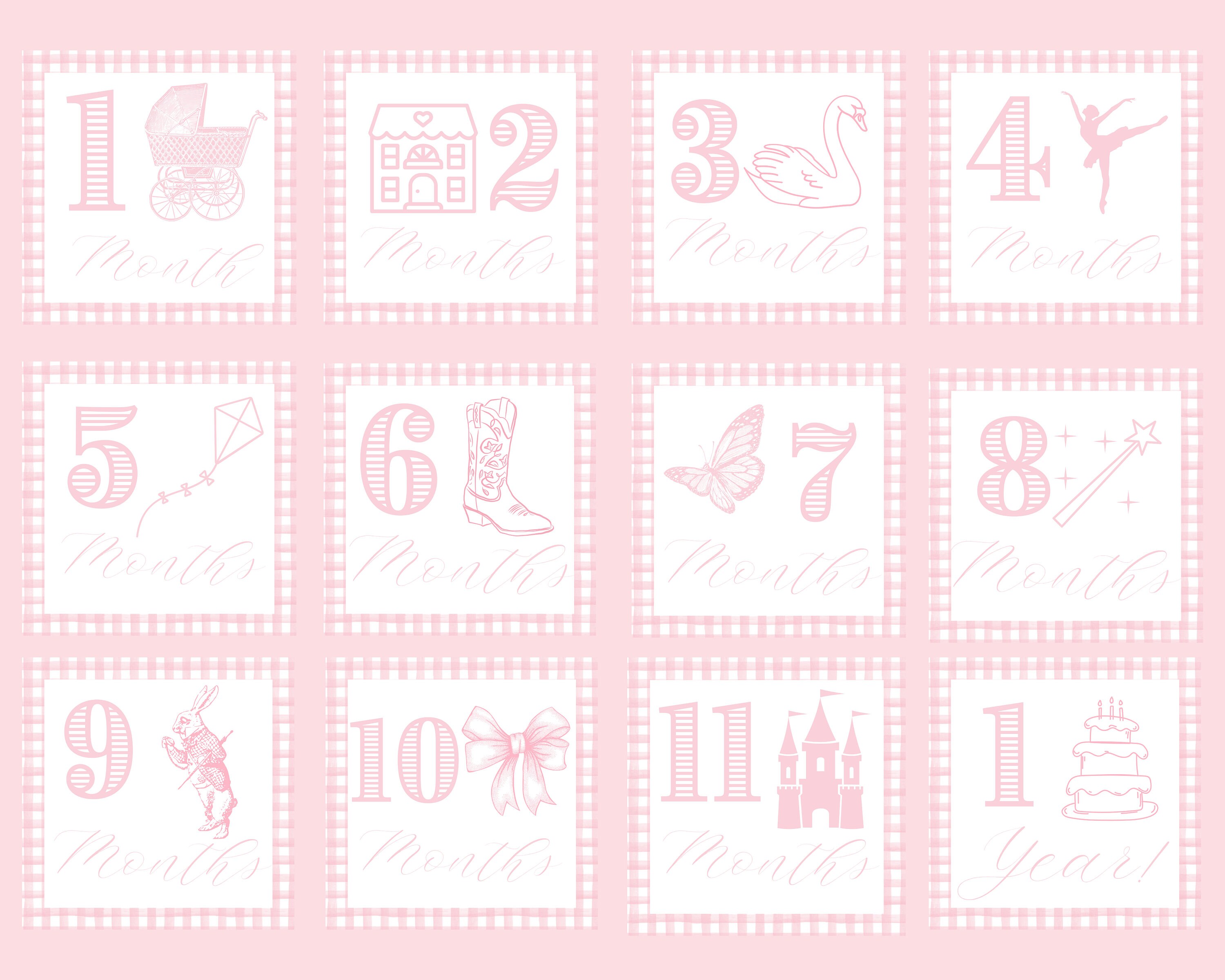 Classic Baby Girl Milestone Cards Baby Month Cards - Etsy UK