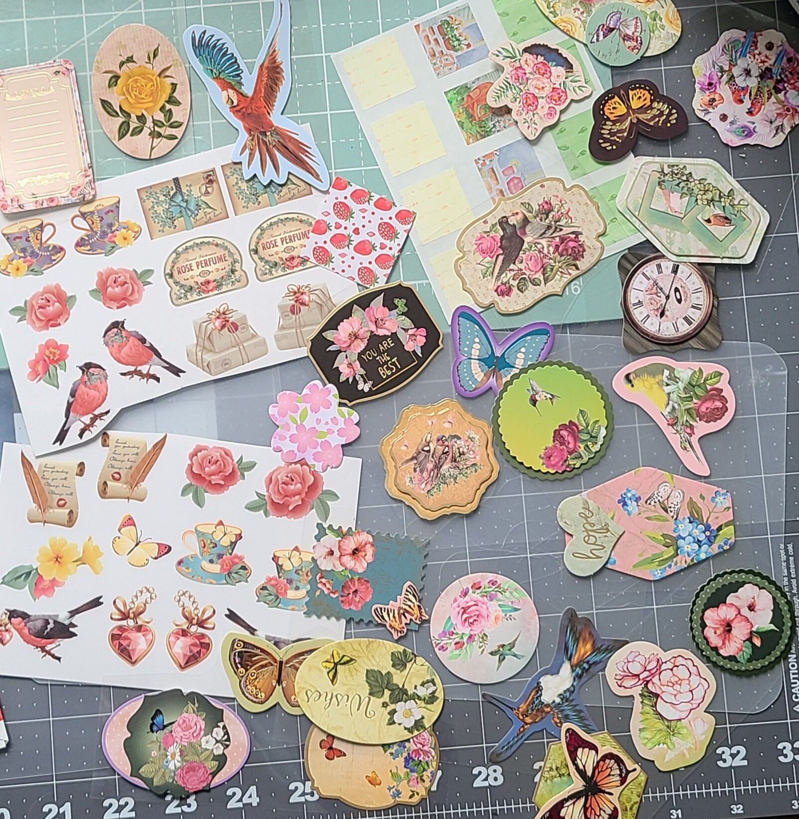 Flora Fauna Sticker Scratch off Variety Pack - Etsy