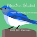 Mountain Bluebird Paper Piecing Pattern - Etsy