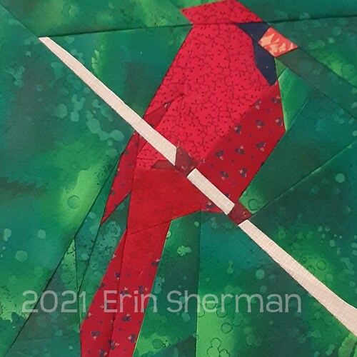 Cardinal Paper Piecing Pattern - Etsy