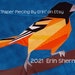 Oriole Paper Piecing Pattern - Etsy
