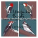Woodpecker Bundle 4 Paper Piecing Patterns - Etsy