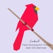 Cardinal Paper Piecing Pattern - Etsy
