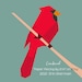 Cardinal Paper Piecing Pattern - Etsy
