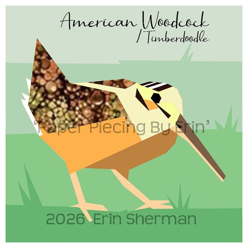 American Woodcock Timberdoodle Bird Paper Piecing Pattern - Etsy
