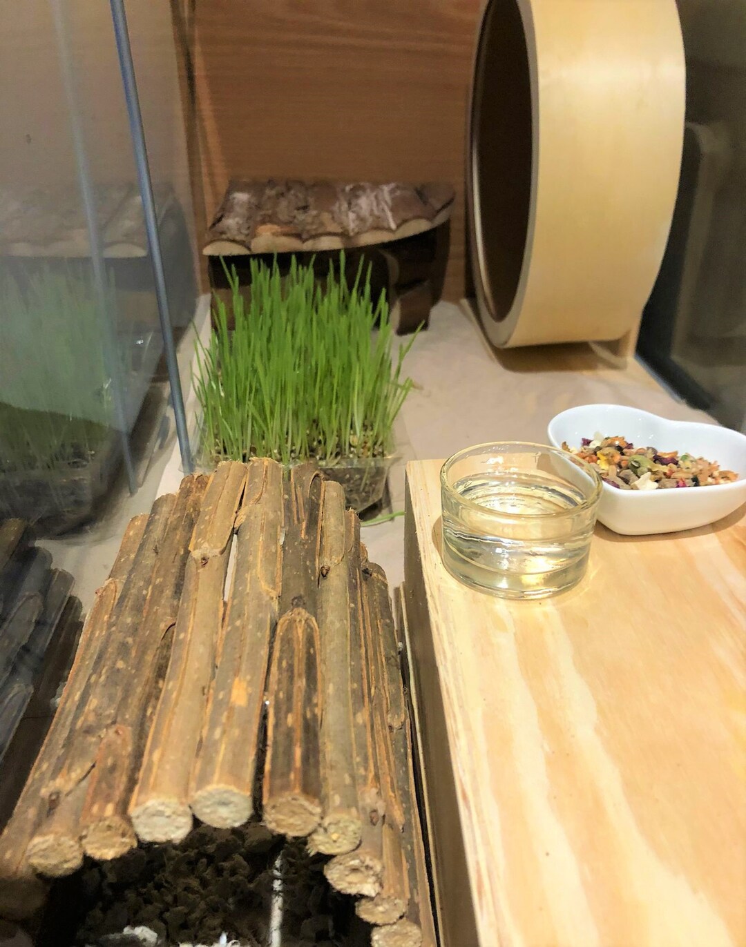 Hamster Starter Kit Wooden Wheel Bathing Sand Coconut - Etsy