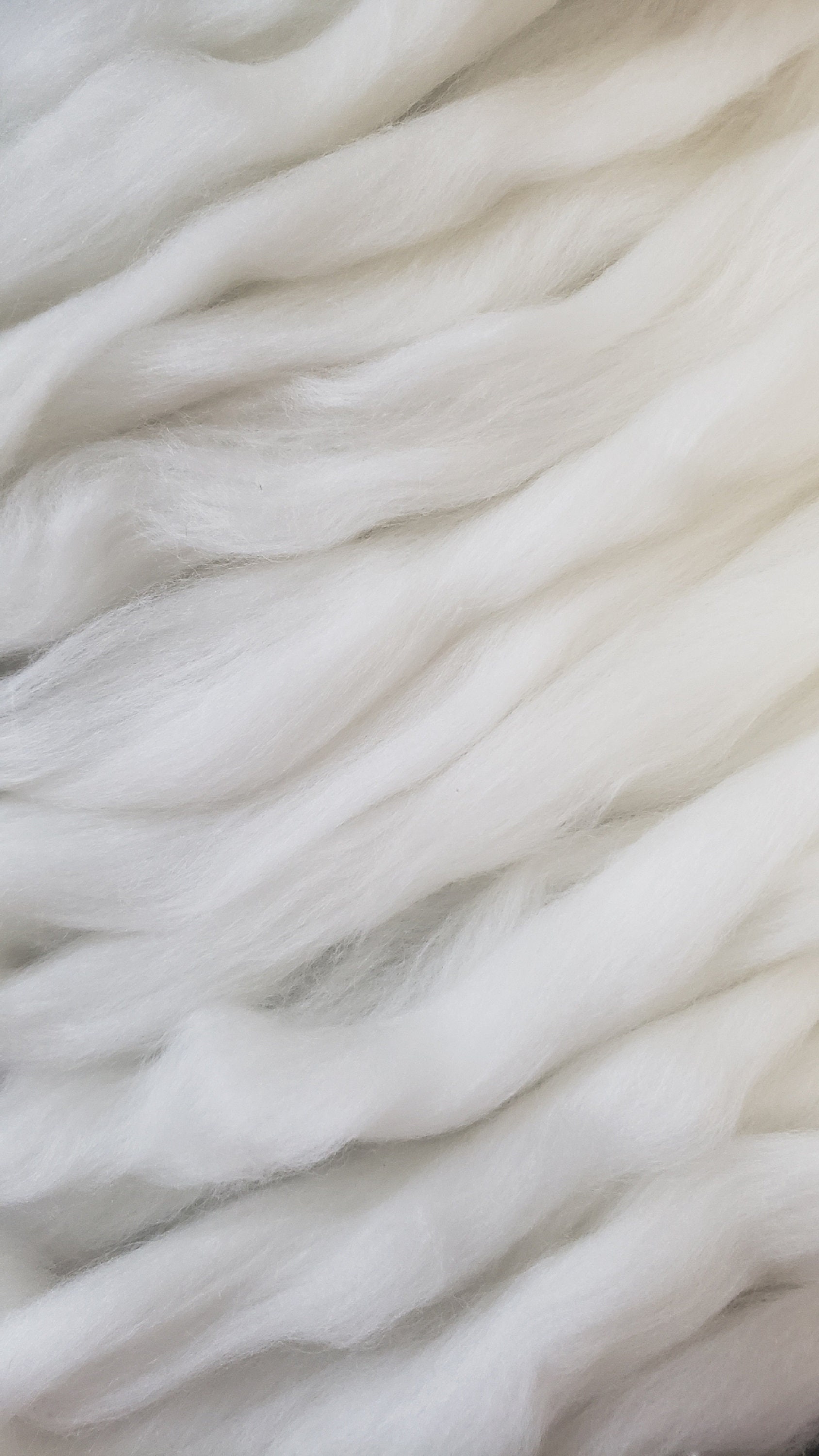 Spinning Fiber EPIC ASSORTMENT Full POUND of Combed Top-8 Different ...