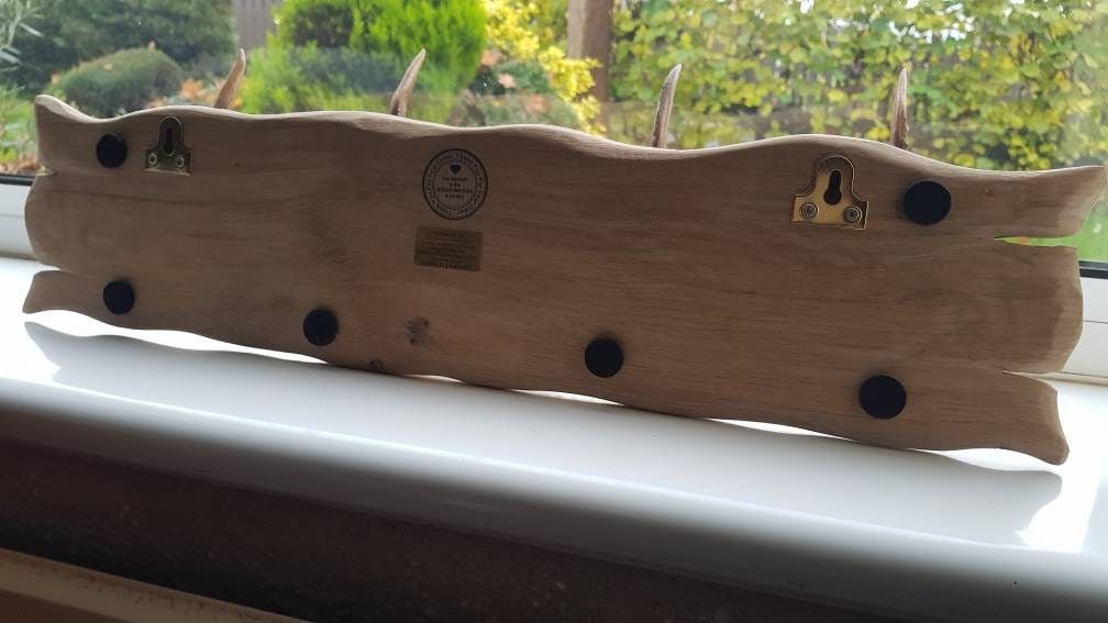 Coat Rack Solid Oak and Real Deer Antler .handmade Rustic . - Etsy UK