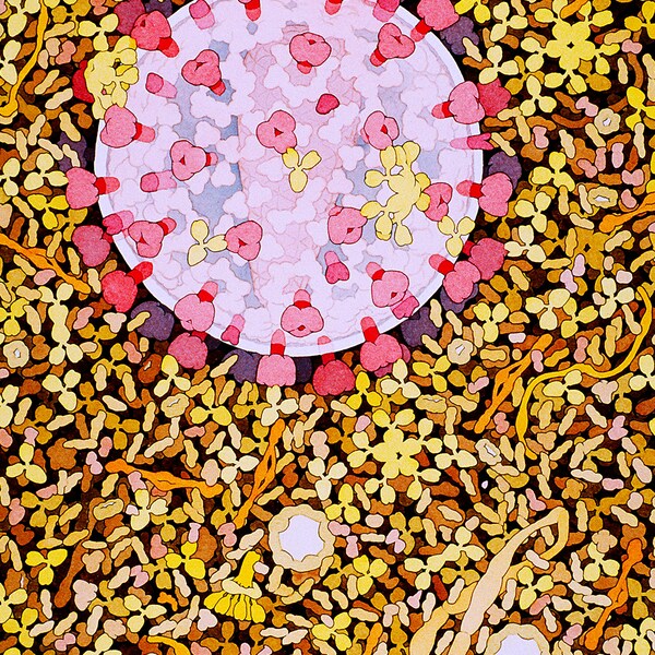 Virology - Etsy