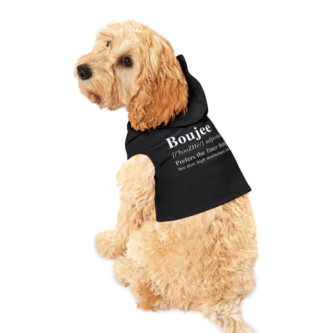 Boujee Definition Pet Hoodie | Black Dog Cat Hoodie With Text - Etsy