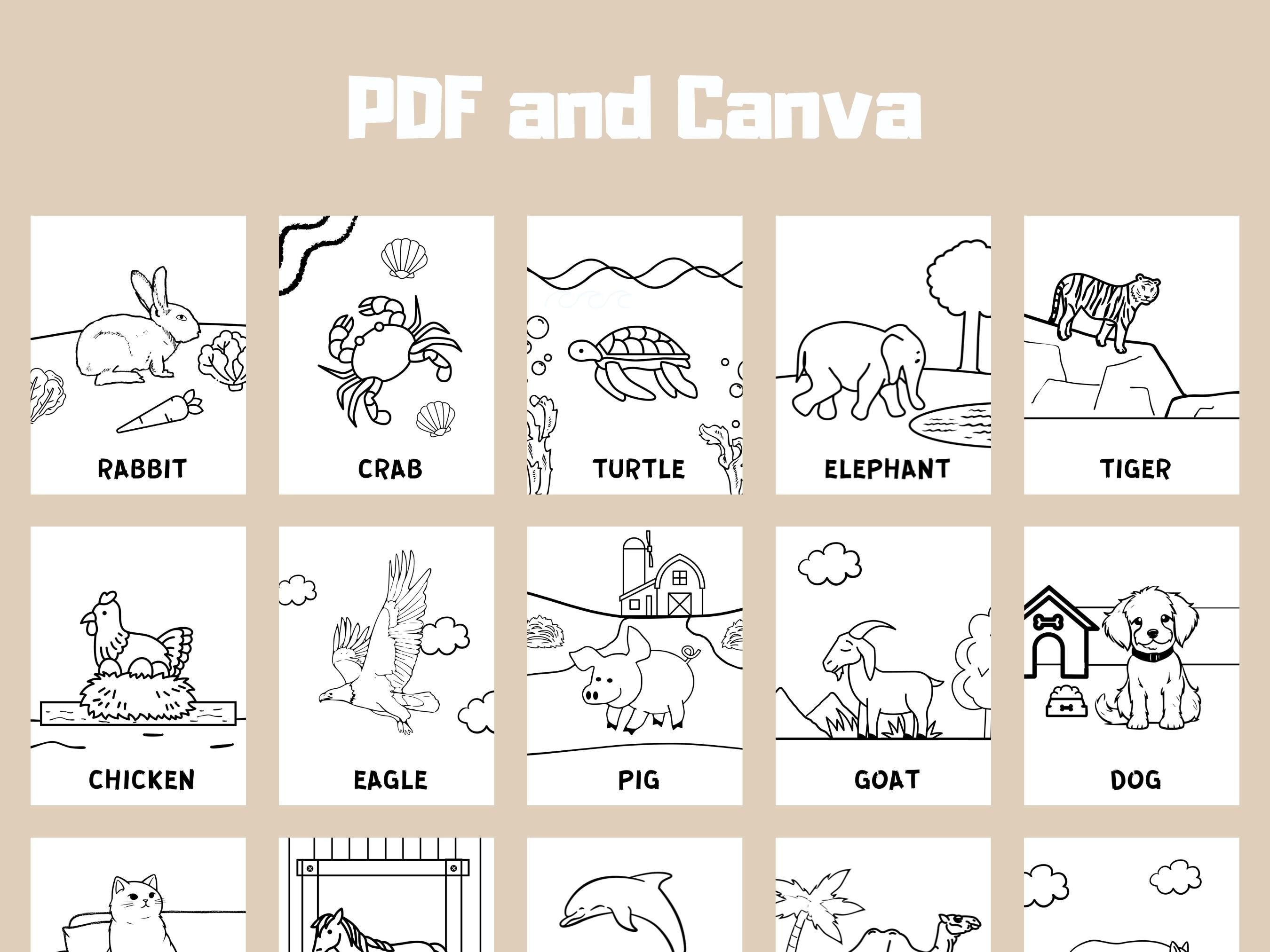 Animal Coloring Pages for Kids: 20 Printable Designs (PDF) - Etsy